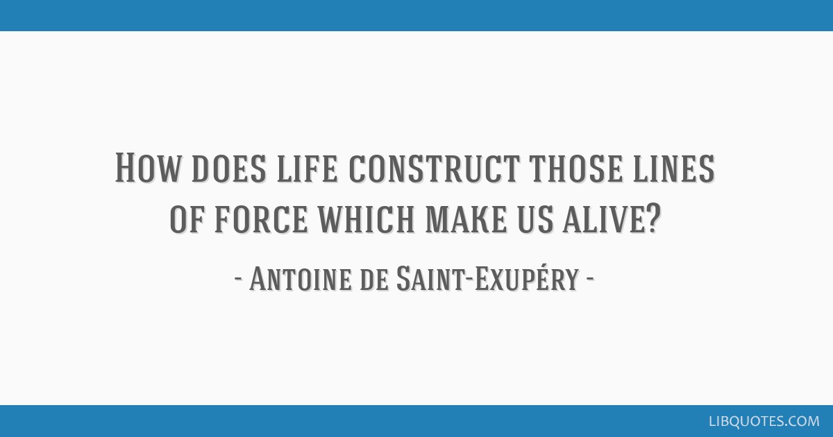 How does life construct those lines of force which make us...