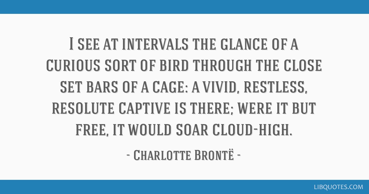 I see at intervals the glance of a curious sort of bird...