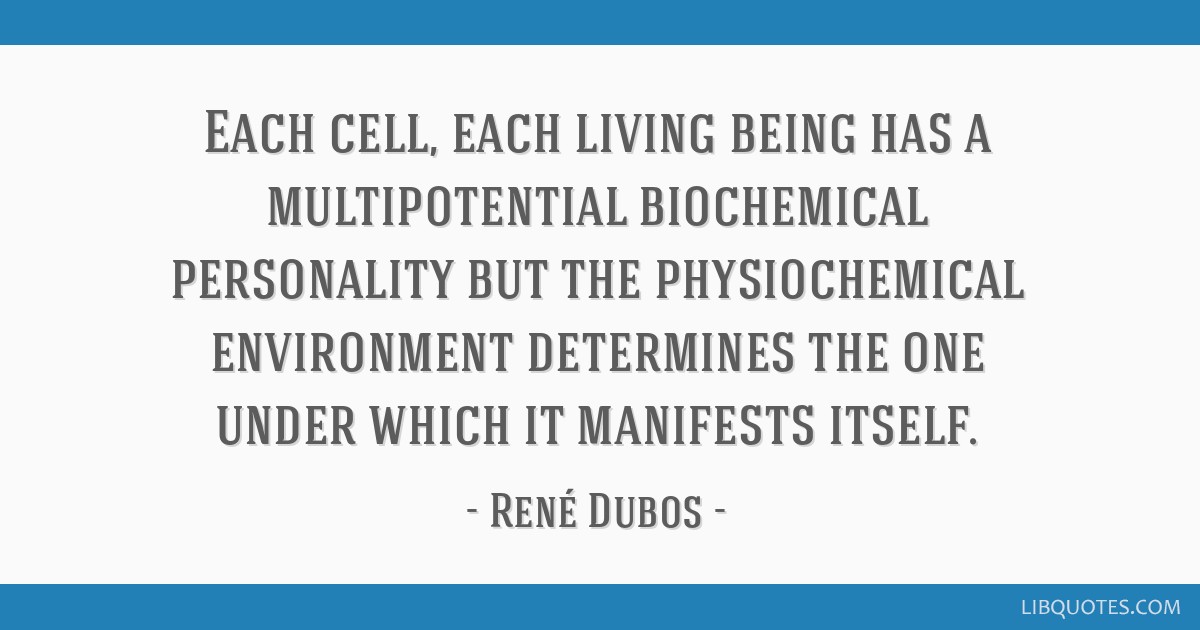 Each cell, each living being has a multipotential...