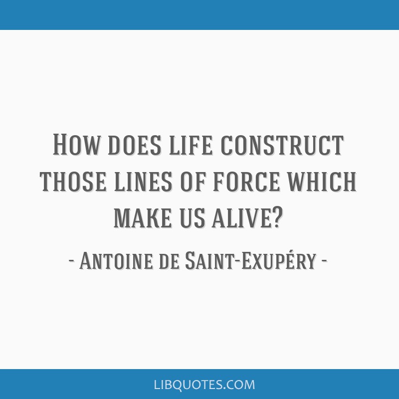 How does life construct those lines of force which make us...